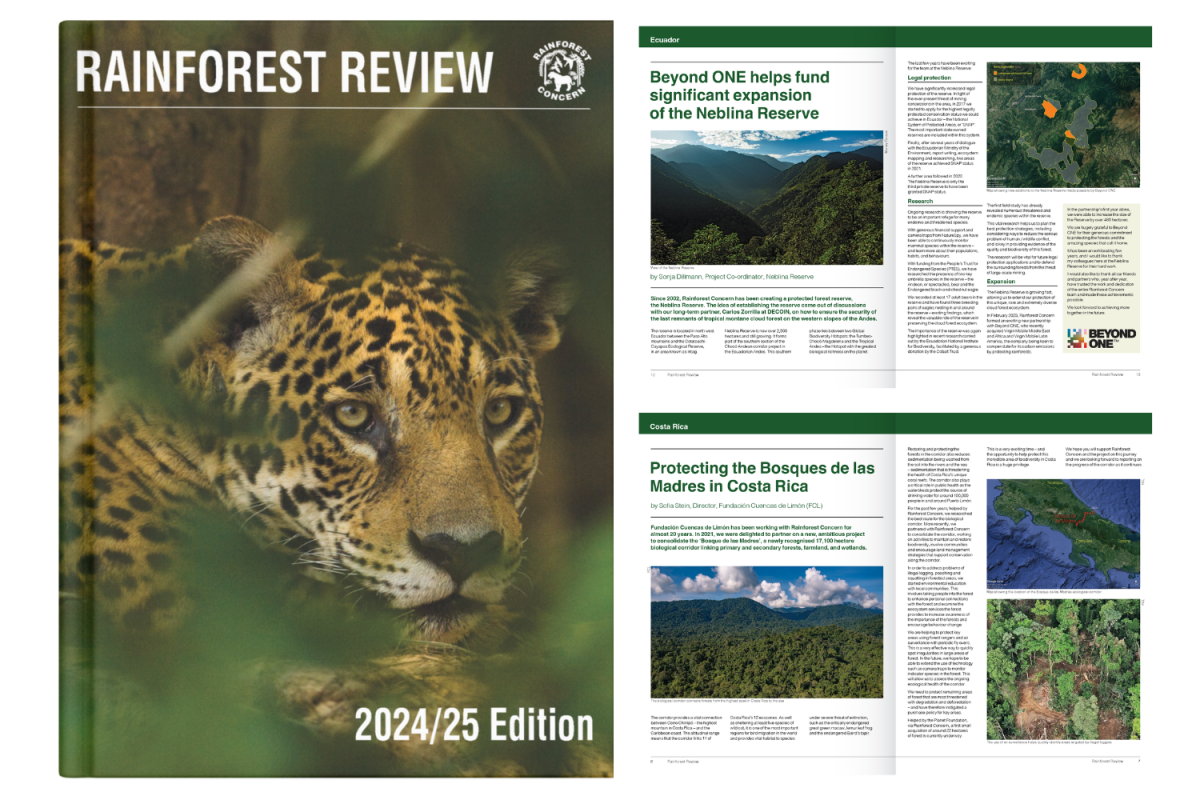 Rainforest Concern - Protecting the World's Natural Habitats