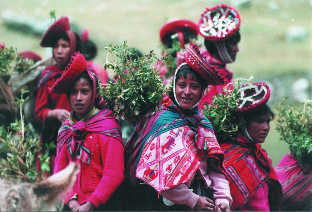 About us | Rainforest Concern