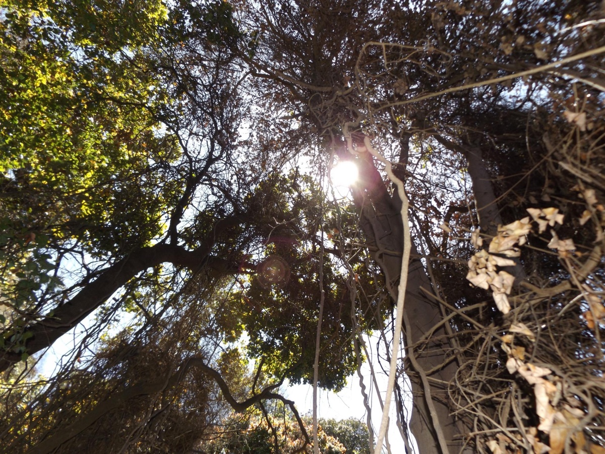 Rainforest Concern's projects | Rainforest Concern